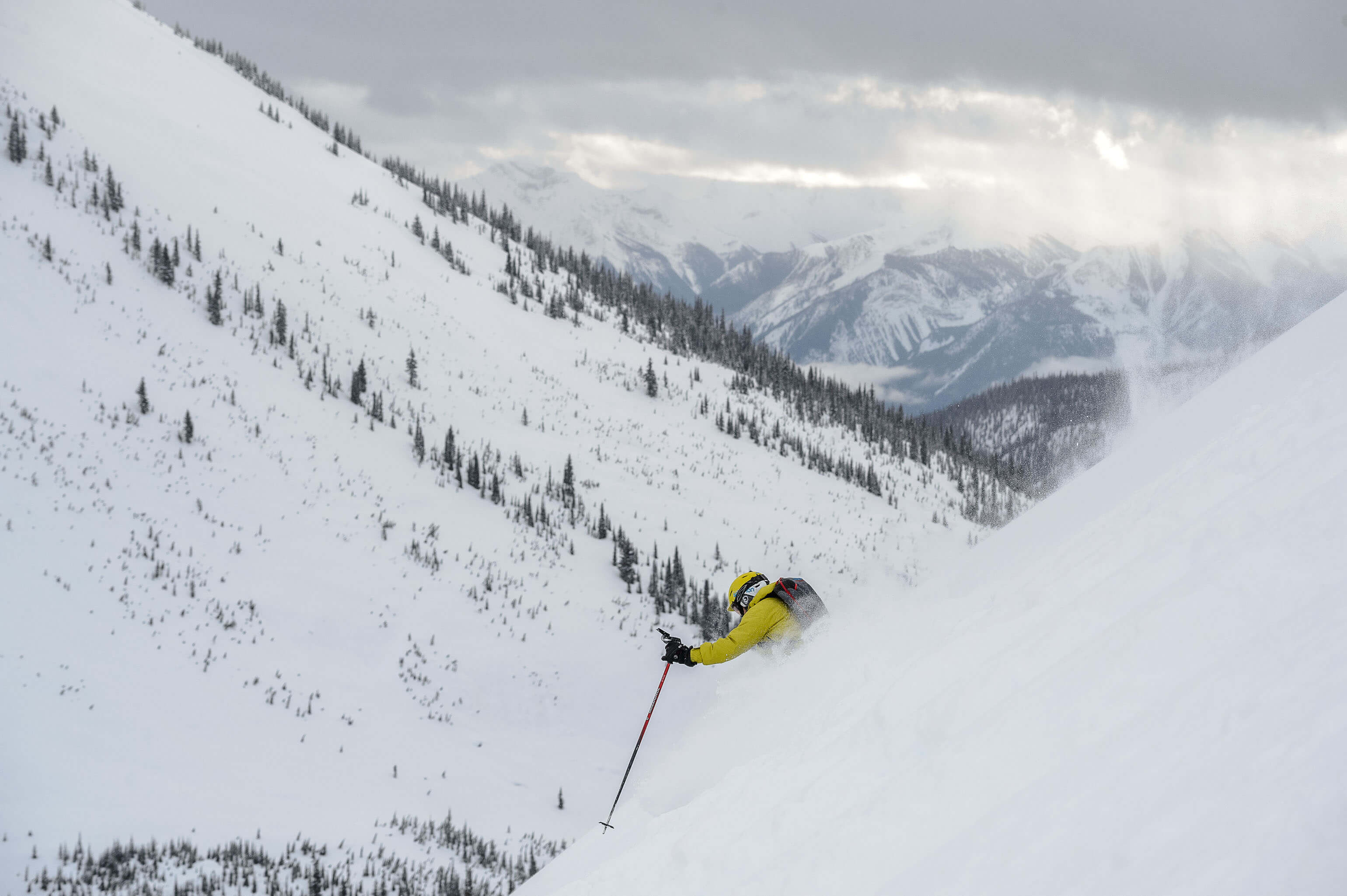 Availability Cat Skiing 2024/2025 - Chatter Creek
